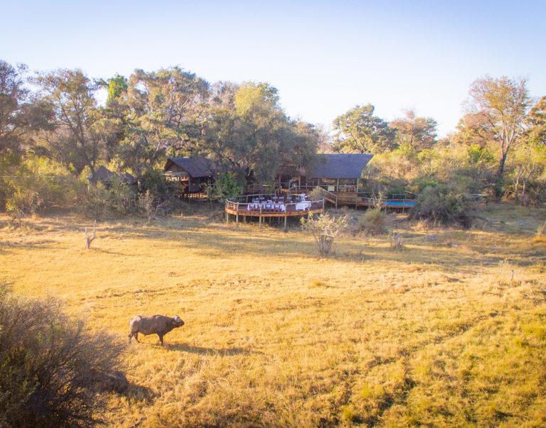Moremi Game Reserve Safari Tours | Moremi Park Travel Guide