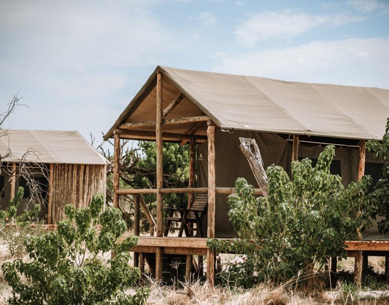 Okavango Delta Safaris | Okavango Delta Travel Guide