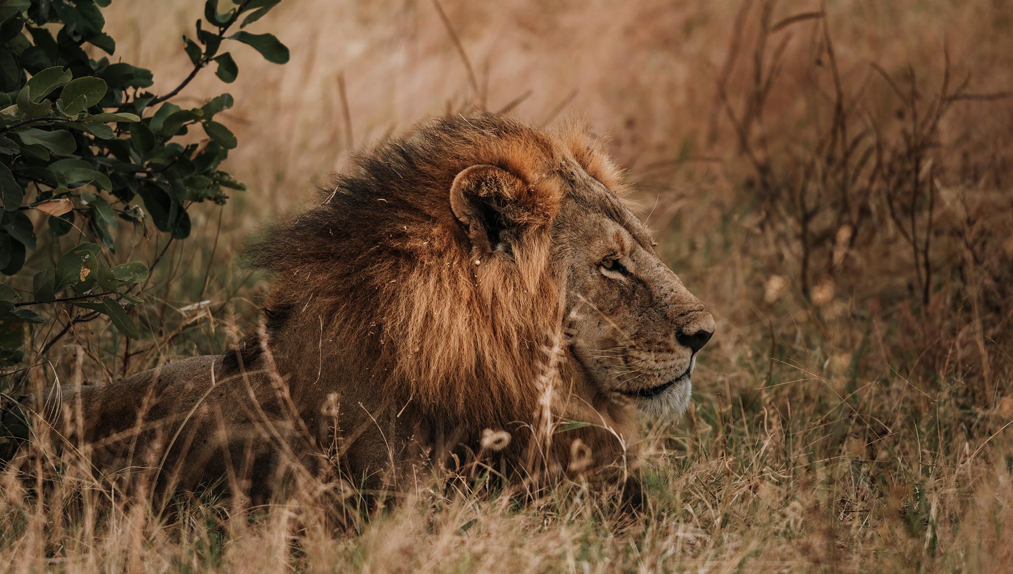 Moremi Game Reserve Safari Tours | Moremi Park Travel Guide