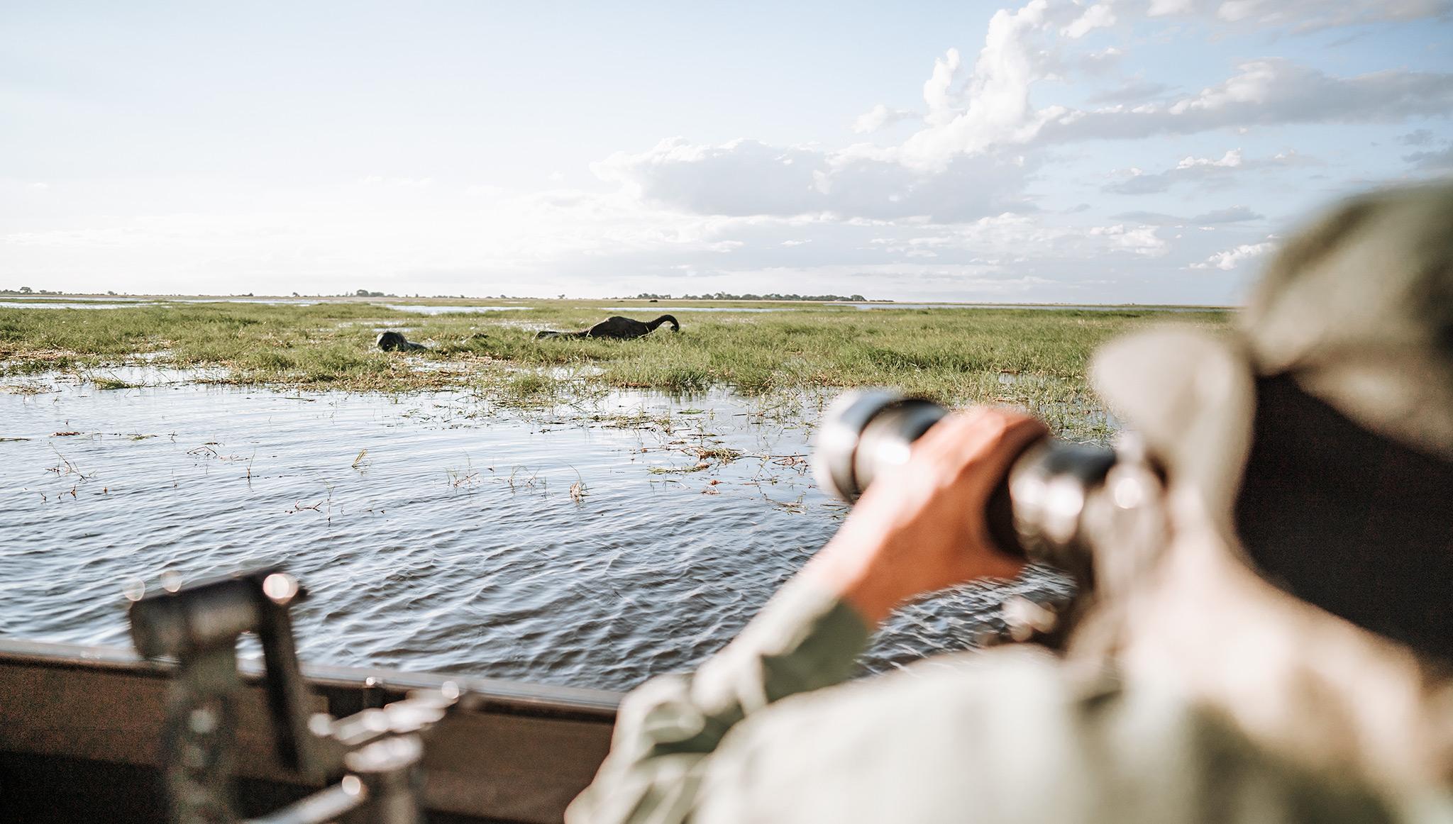 Chobe National Park Tours | Chobe Safari Travel Guide