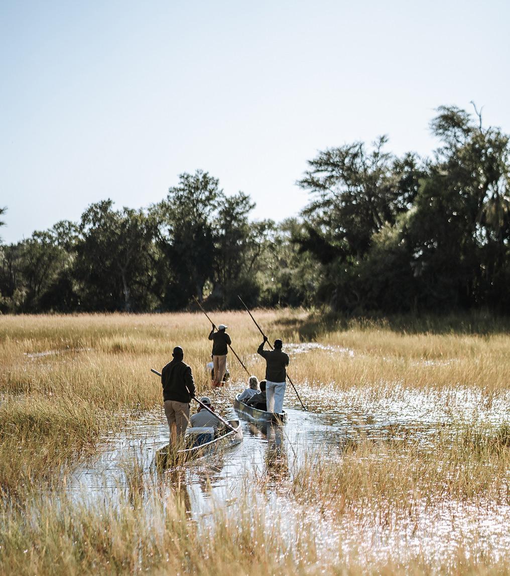 Moremi Game Reserve Safari Tours | Moremi Park Travel Guide