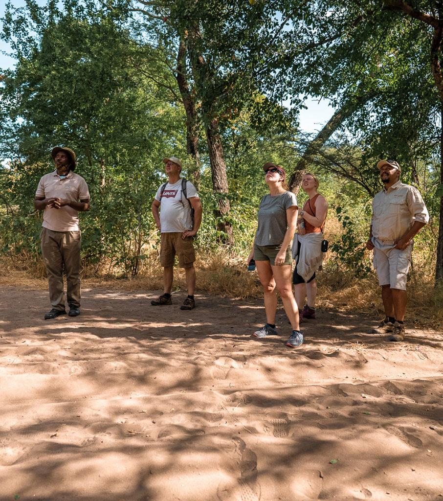 Tsodilo Hills Tours | Destination Travel Guide