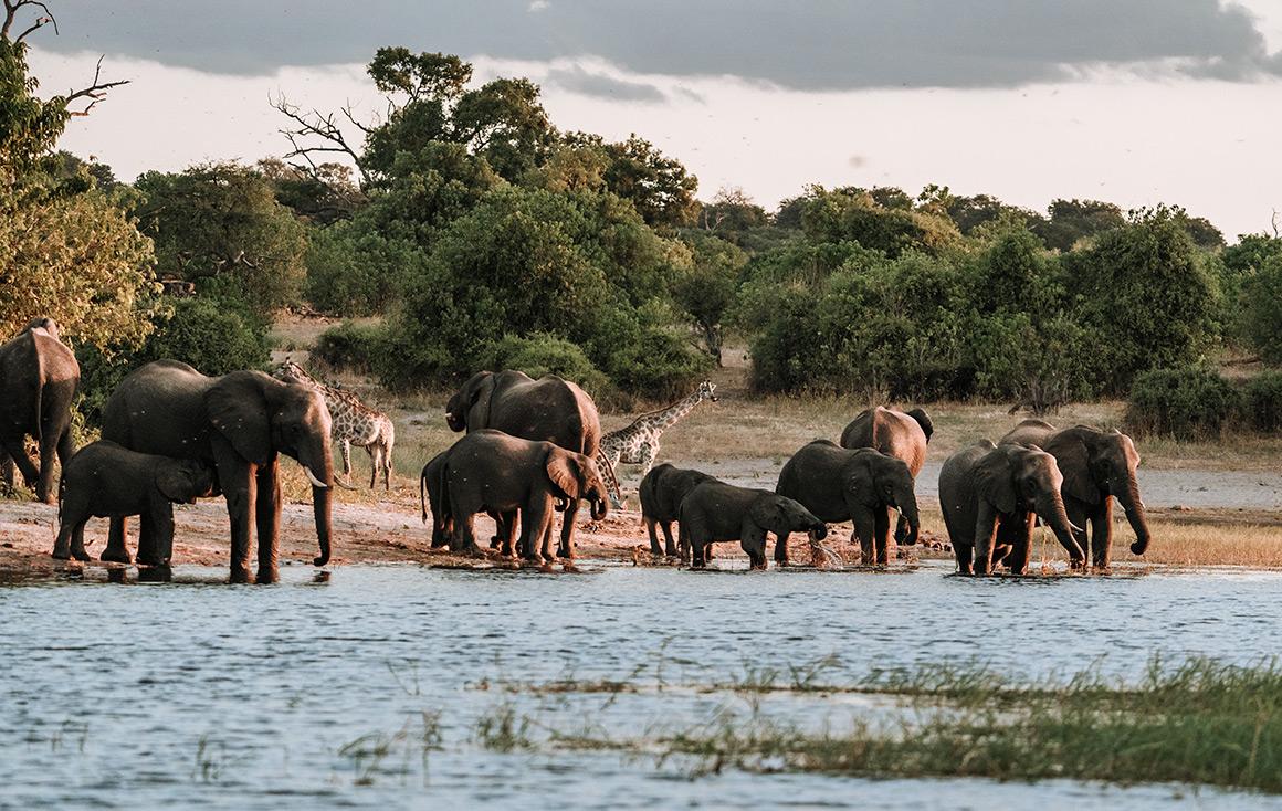 Top Places to Visit in Botswana | Botswana Attractions