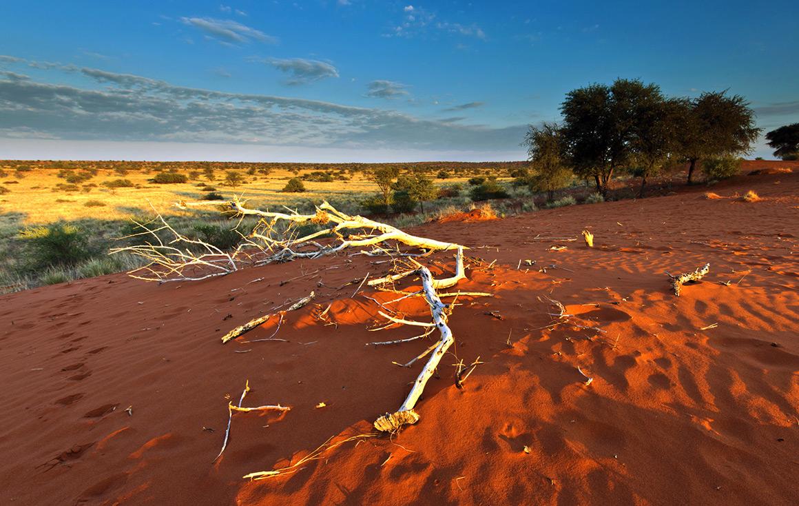 Top Places to Visit in Botswana | Botswana Attractions