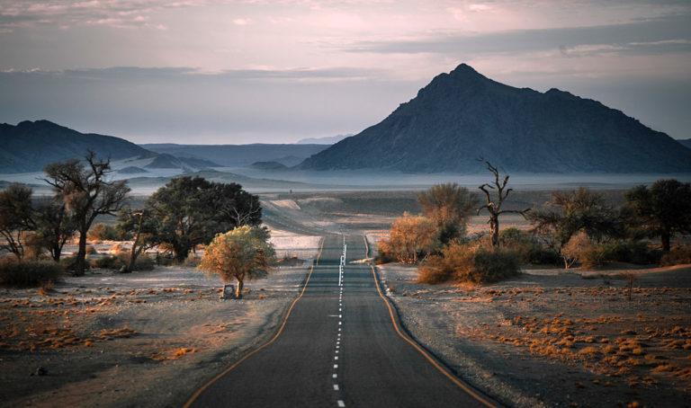 Okavango Delta Safaris | Okavango Delta Travel Guide
