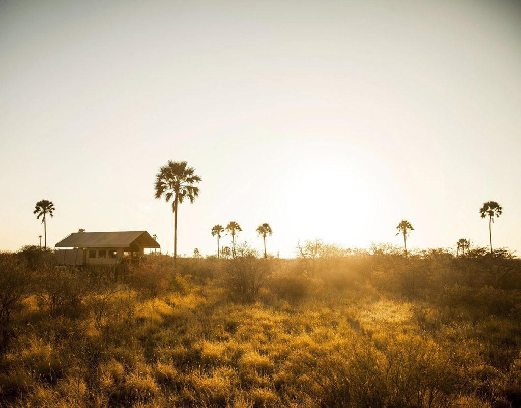 Private Safari Tours in Botswana | Private Safari Guide Botswana