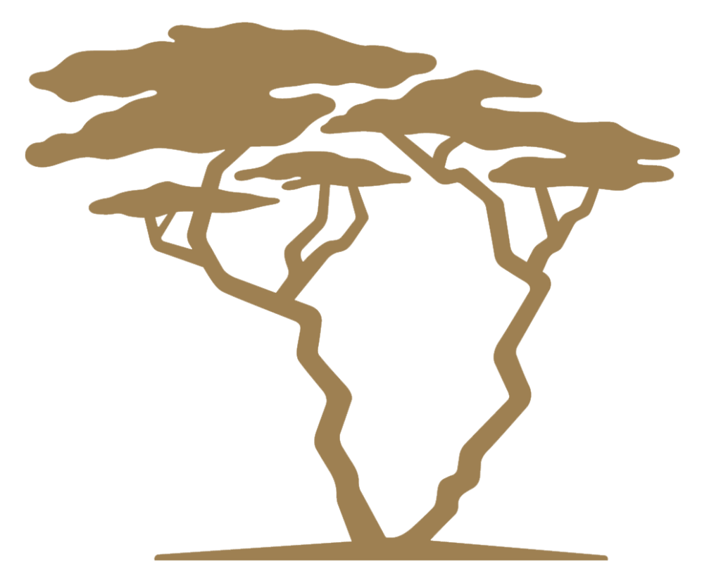 Botswana Zebra Migration: Africa's Best Kept Safari Secret
