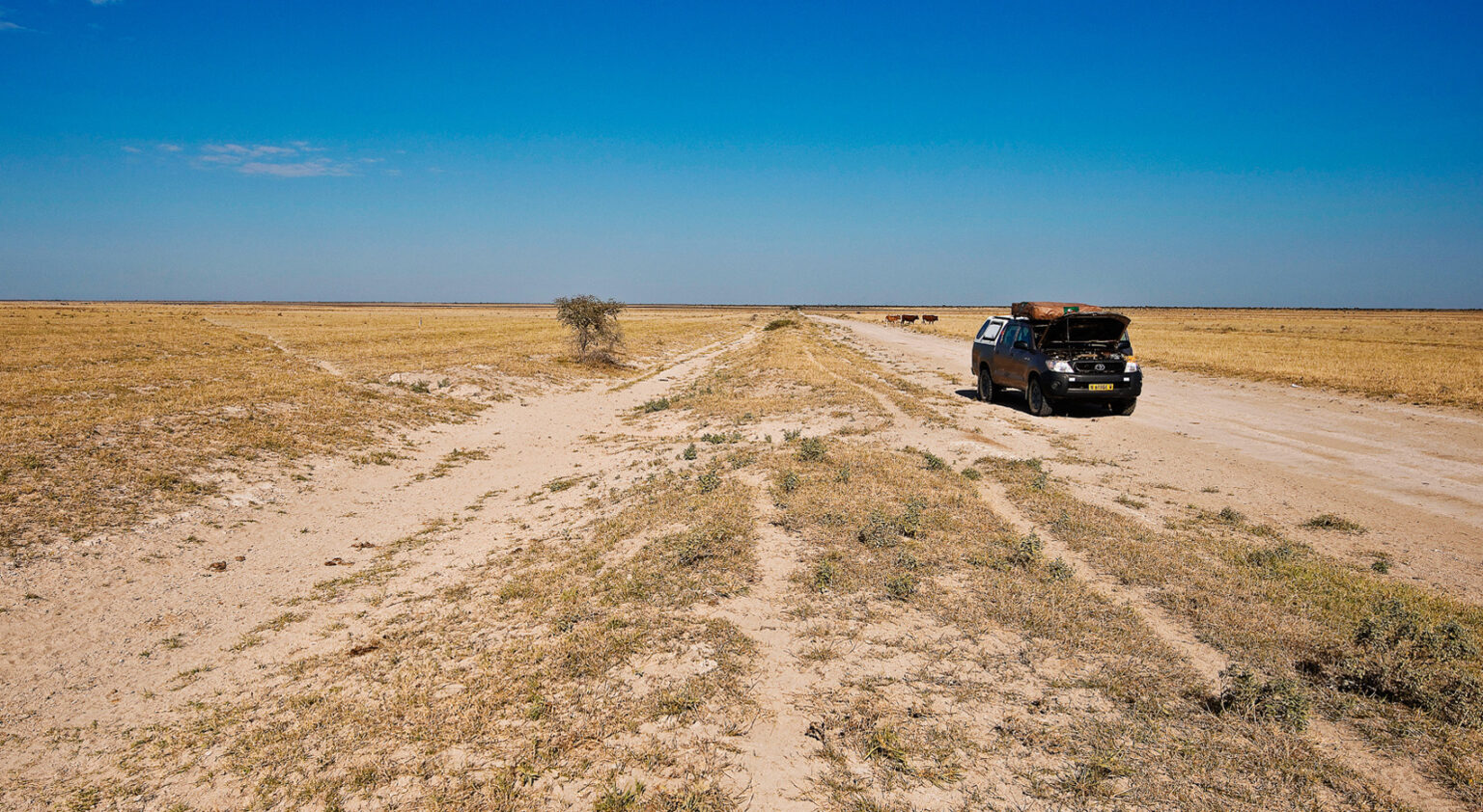 Driving in Botswana – Info & Tips For Self-Drive Travellers
